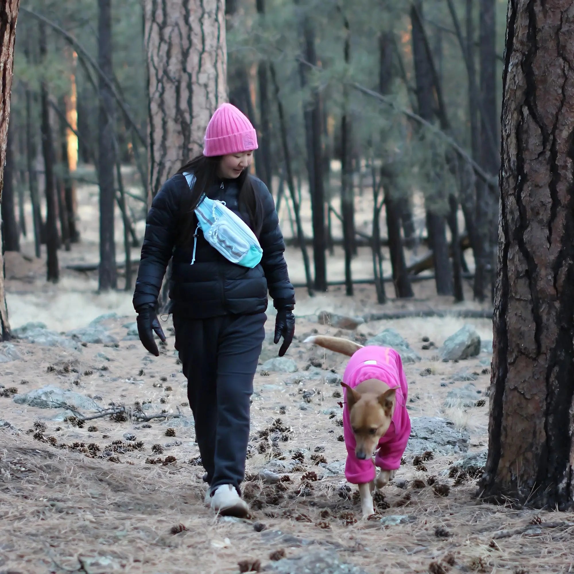 DOG WALKING ESSENTIALS – WOOFESSENTIAL