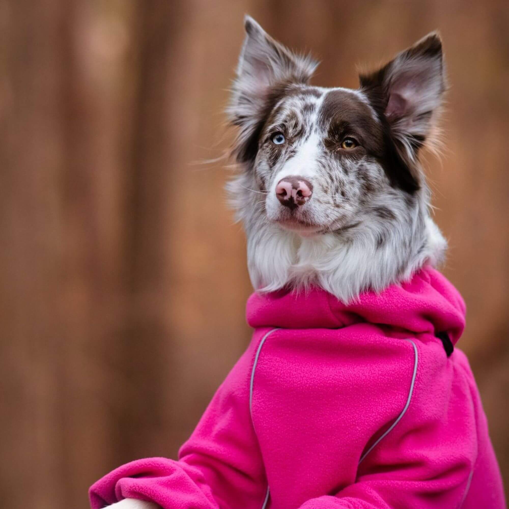 Cozy Hugger Fleece Jacket - Warmth for Big Dogs – WOOFESSENTIAL