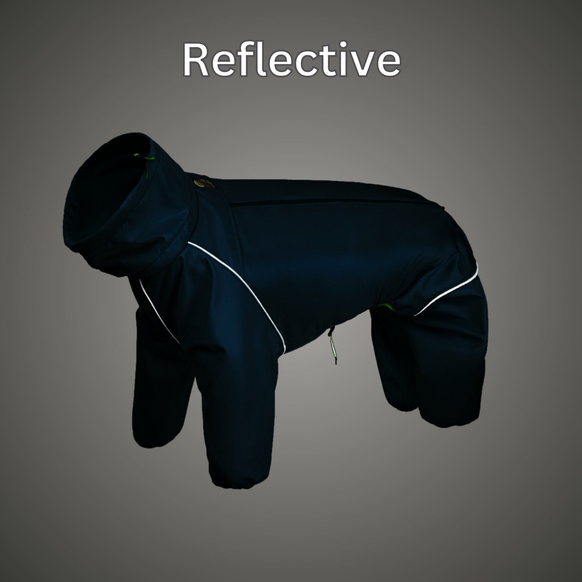 Snow Warrior Suit - Ultimate Winter Gear for Big Dogs – WOOFESSENTIAL