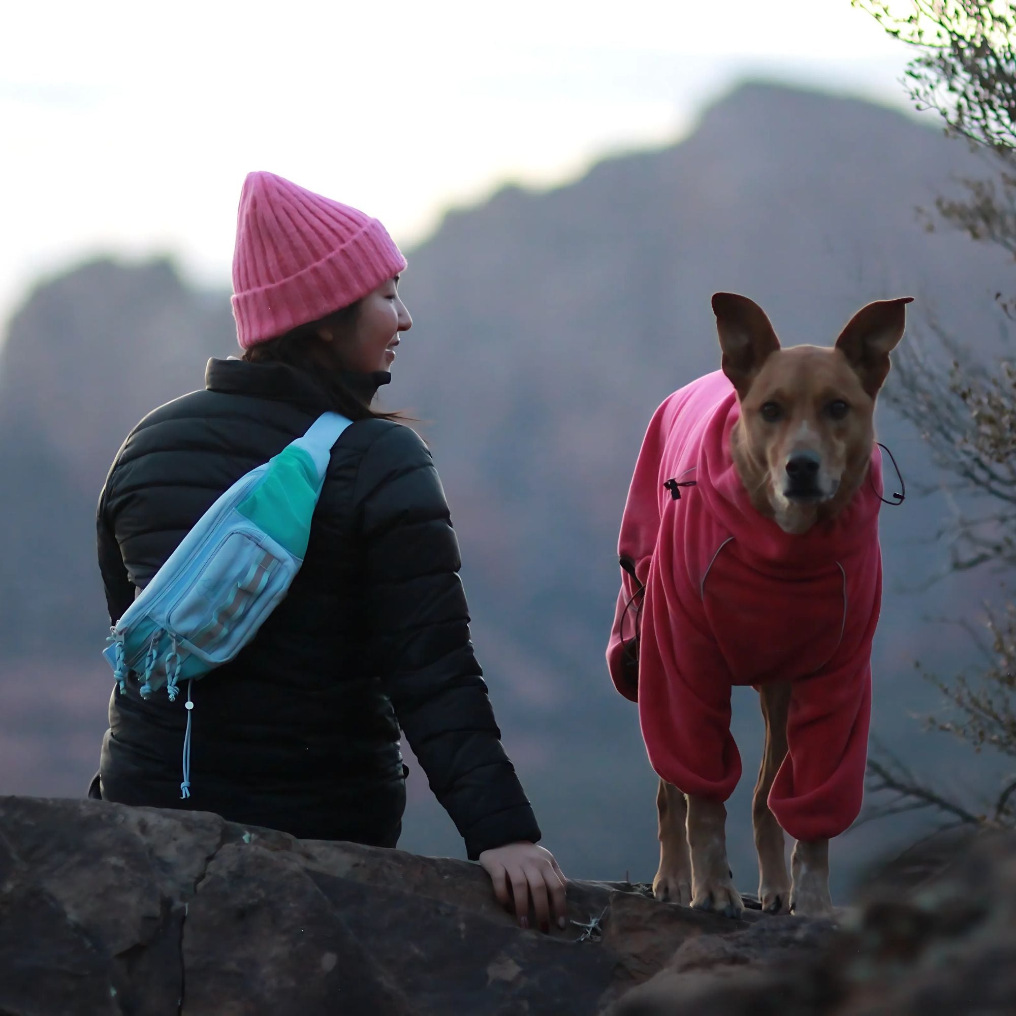 Walk’n Wag Hip Pack - The Ultimate Dog Walking Pack | WOOFESSENTIAL